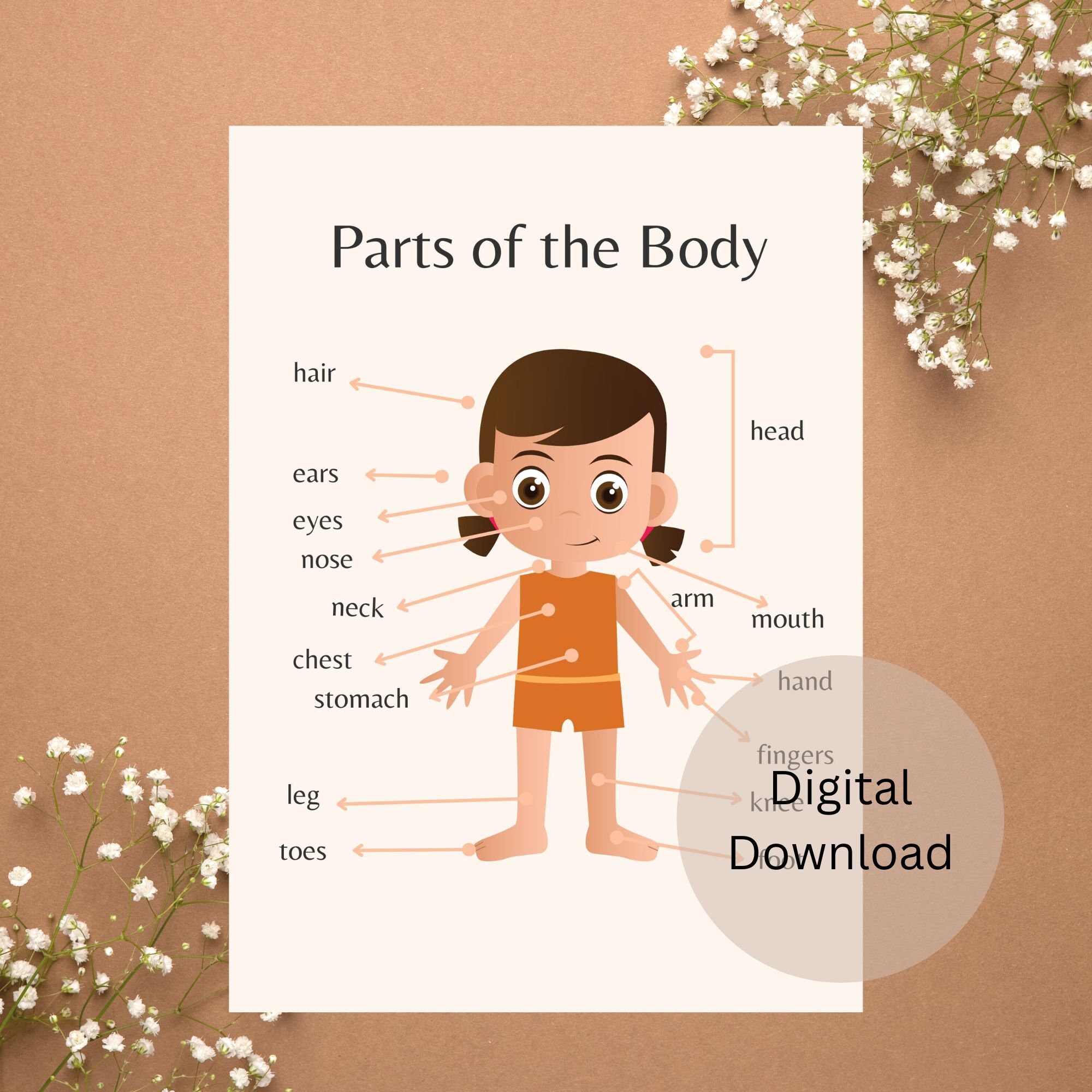 Bilingual Body Parts Digital Download, Spanish/ English Body Parts ...