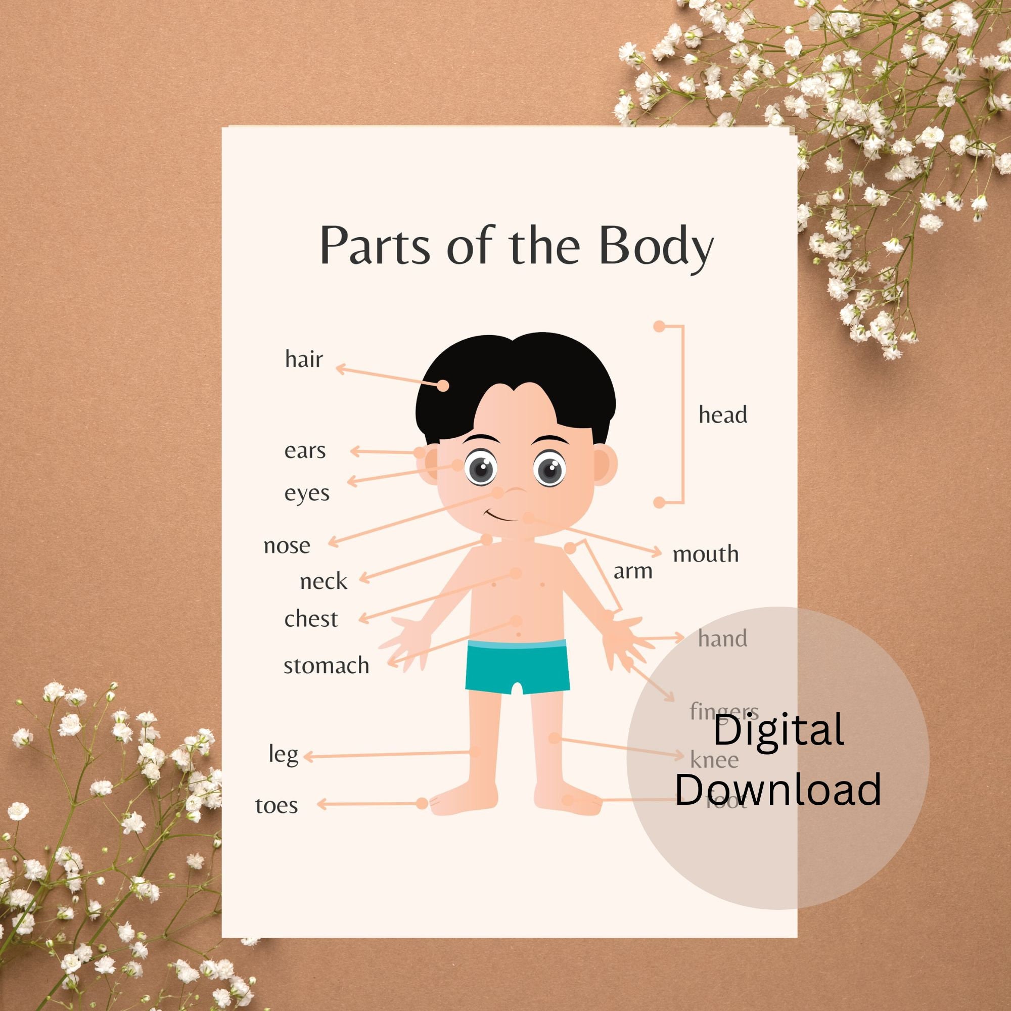 Bilingual Body Parts Digital Download, Spanish/ English Body Parts ...