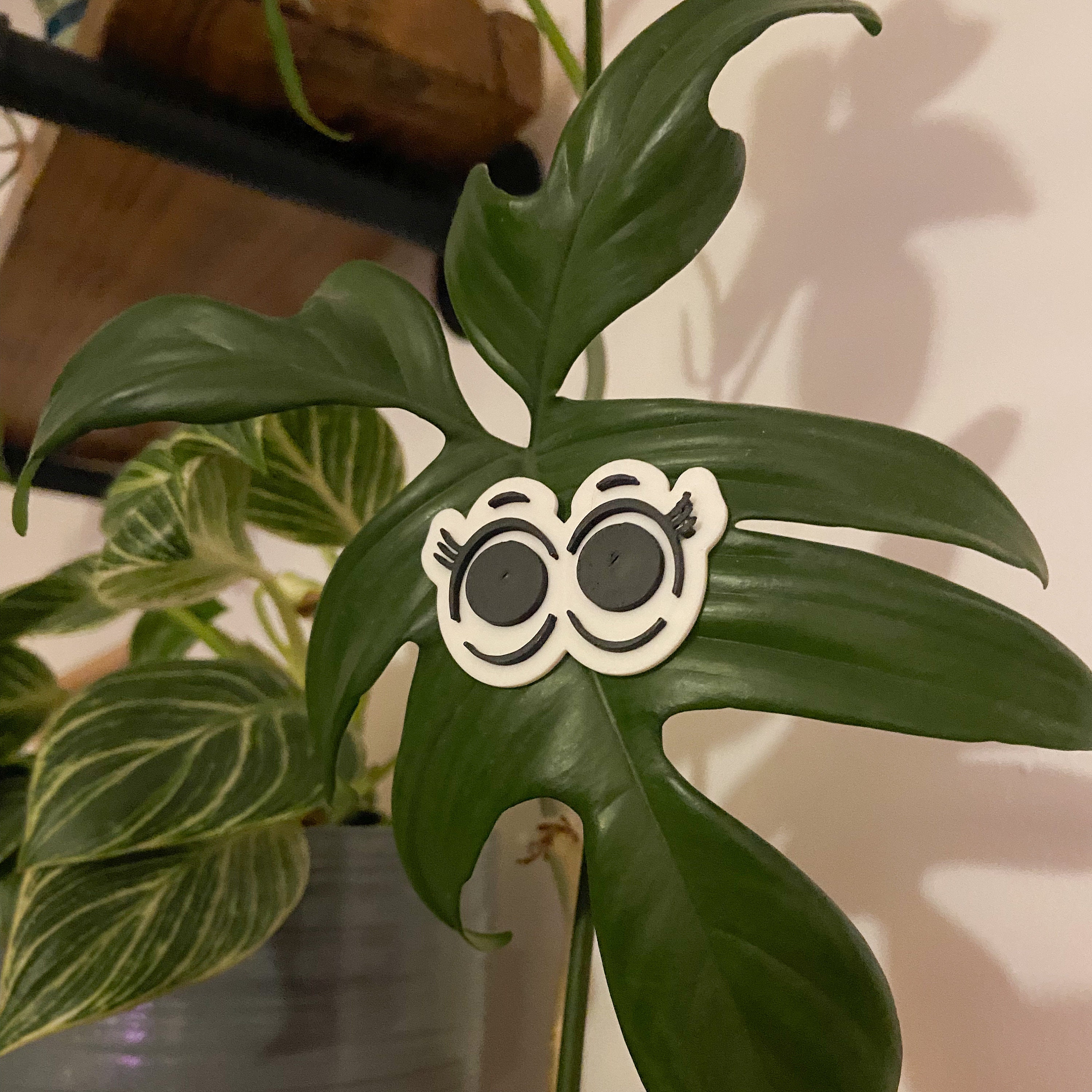 Plants Eyes, Plants Decor, Fake Plants Decor, Monstera Decor, Snake ...