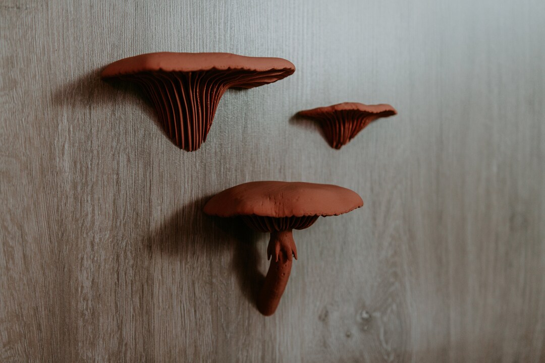 Mushroom Shelf, Small Wall Shelf, Fairycore Shelf, Magic Mushrooms Lamp ...