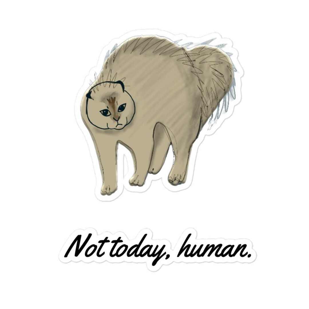 Grumpy Cat Sticker: Funny 'not Today Human' Vinyl Decal - Etsy