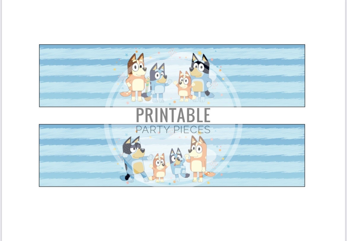 Bluey Water Bottle Label Printable Digital PDF Download File - Etsy