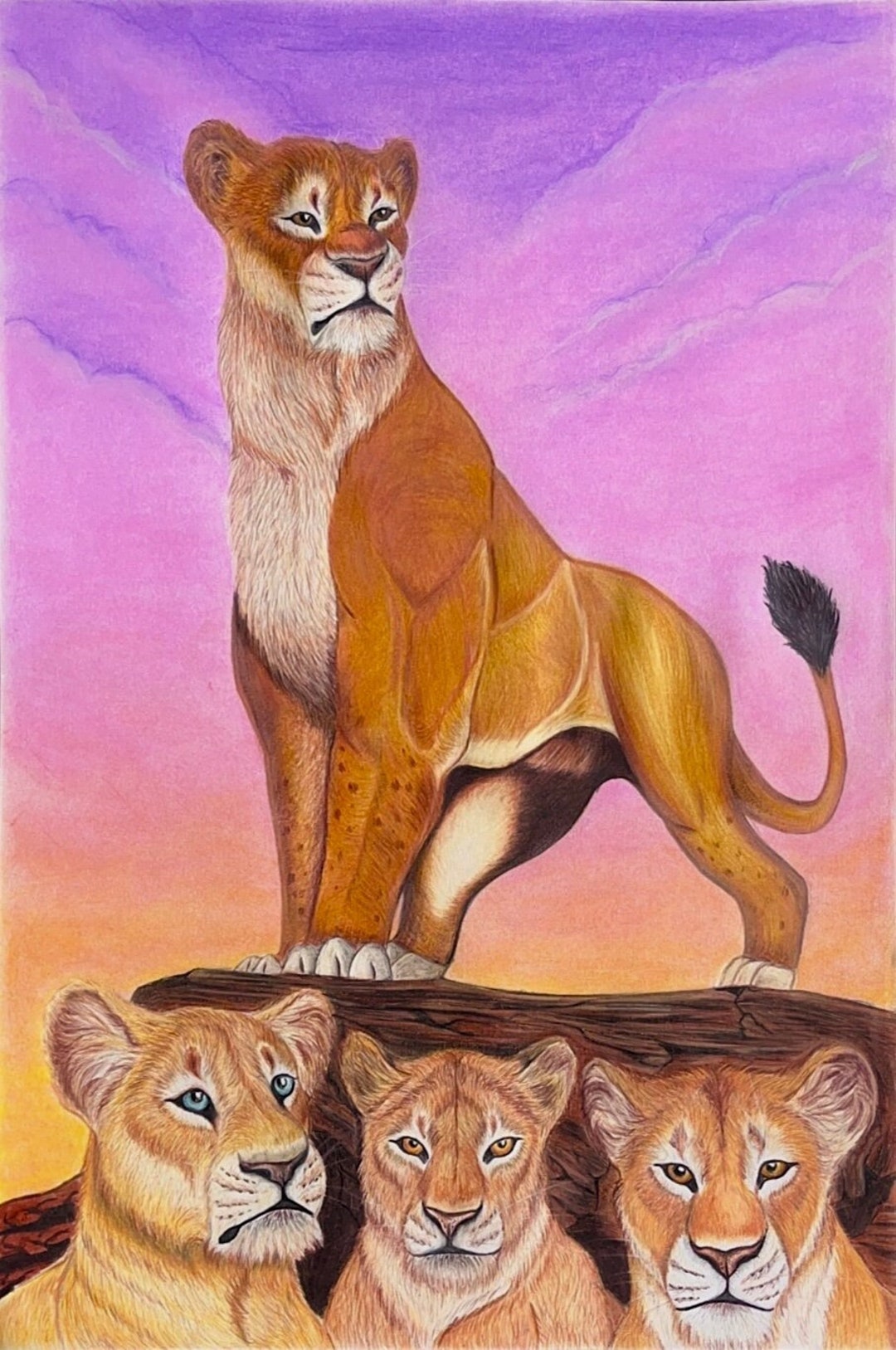 The Lioness Pride at Sunset - Etsy