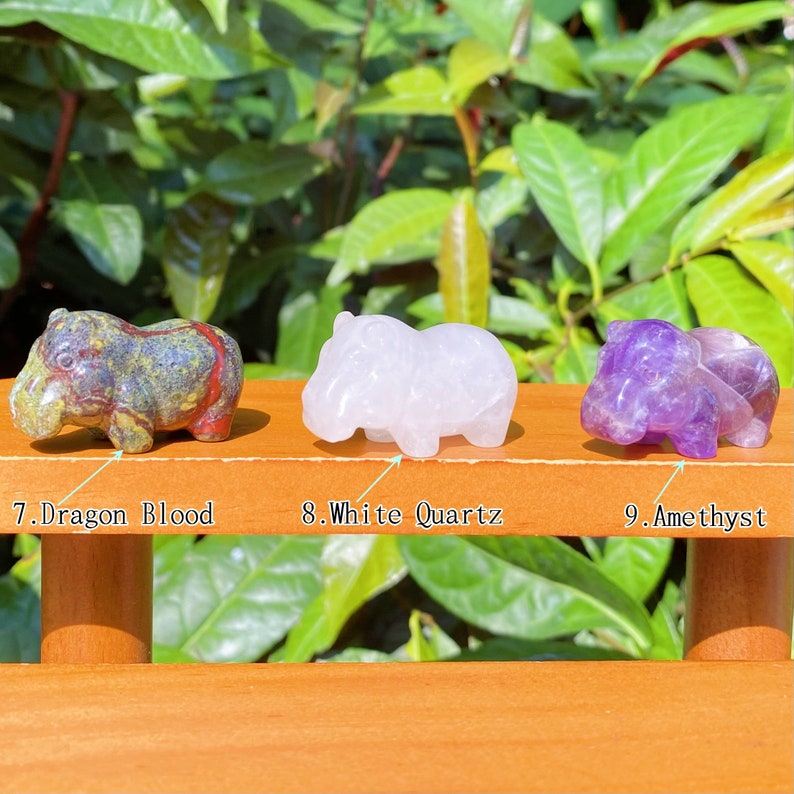 Hand-carved Crystal Hippo Statue: Healing Stone Animal Decor (1.4 ...