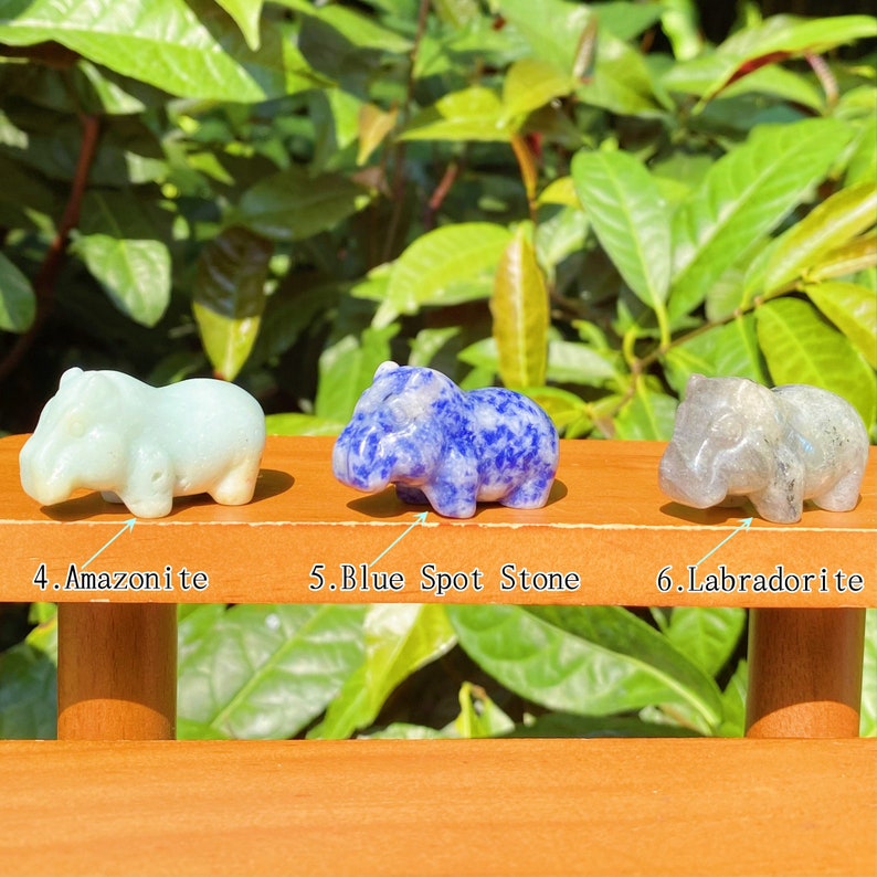 Hand-carved Crystal Hippo Statue: Healing Stone Animal Decor (1.4 ...