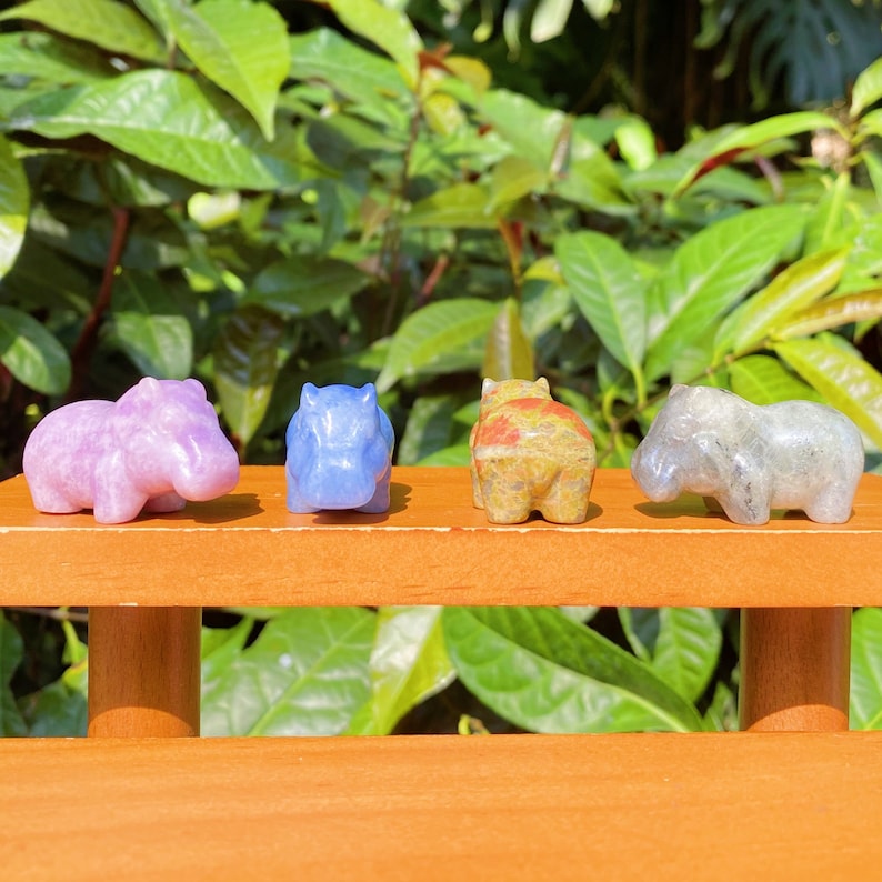 Hand-carved Crystal Hippo Statue: Healing Stone Animal Decor (1.4 ...