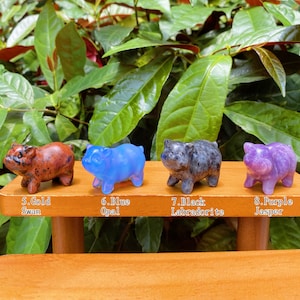 Hand Carved Gemstone Pig Statue: Healing Crystal Animal (1.5 Inches) - Etsy