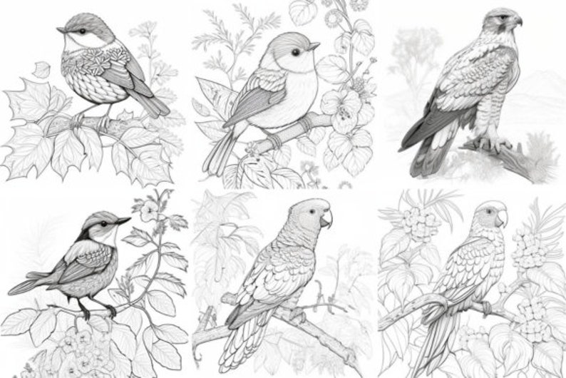 Birds, Coloring, Bird Pages, Outdoor Learning, Coloring Pages, Abstract ...