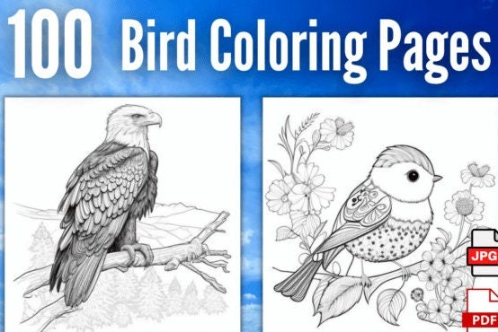 Birds, Coloring, Bird Pages, Outdoor Learning, Coloring Pages, Abstract ...