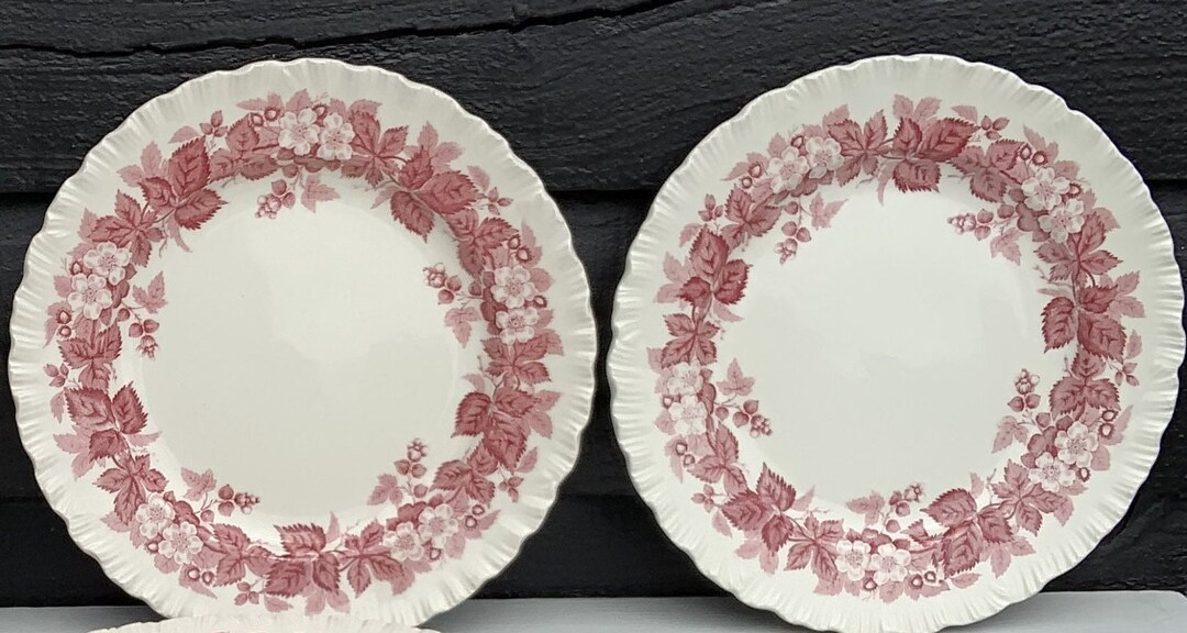 Vintage Wedgwood Bramble Two Side Plates Cottage Core - Etsy