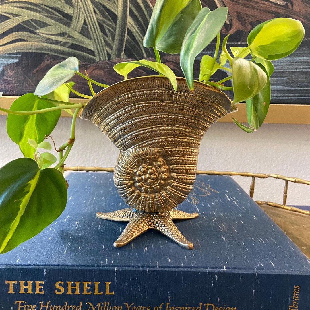 Brass Seashell Planter With Starfish Base - Etsy