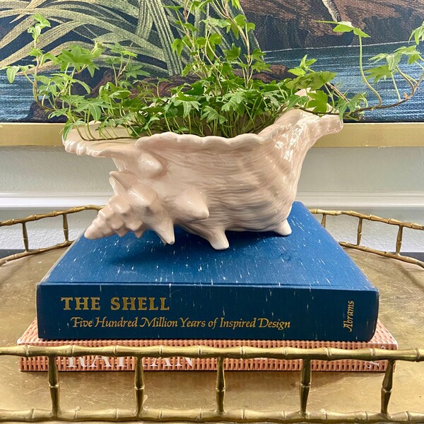 Conch Shell Planter - Etsy