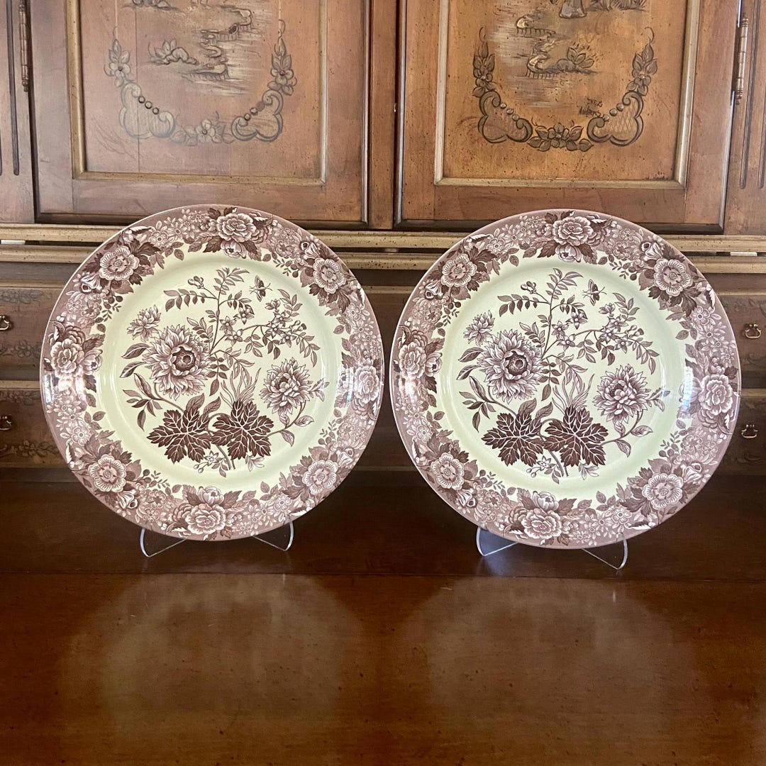 Set of 2 Spode Jasmine Mint Green Large Shallow 12" Pasta Bowl - Etsy