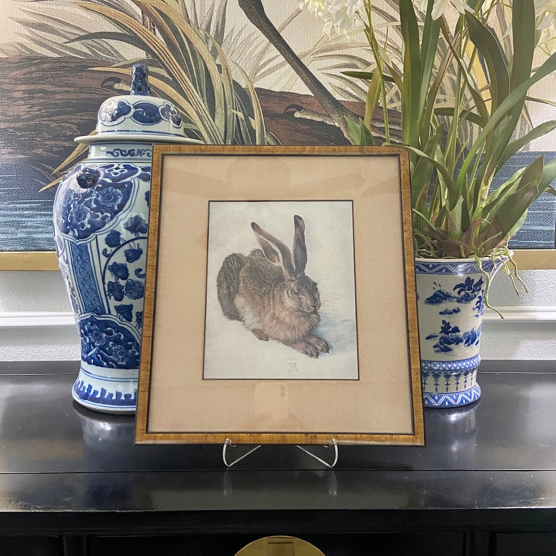 Albrecht Durer 'young Hare Rabbit Print With Burled Wood Frame - Etsy