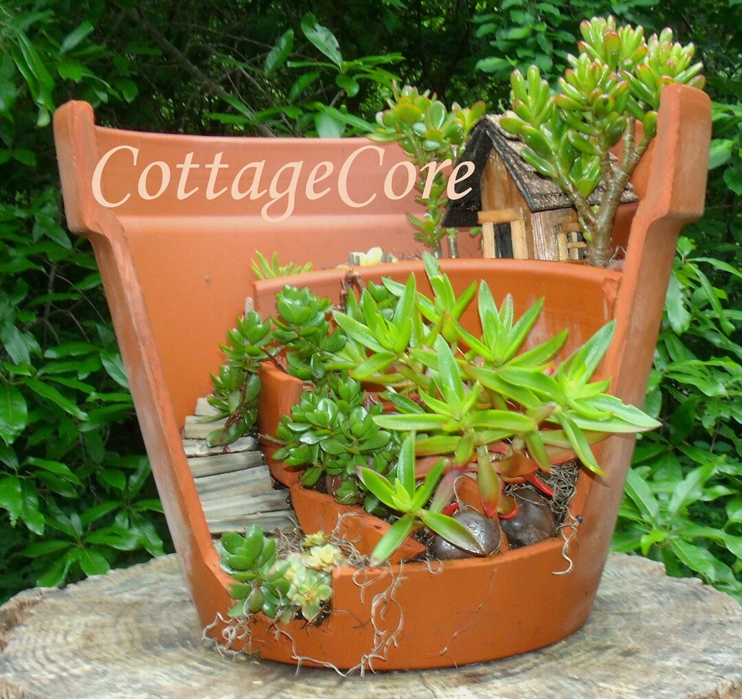 Thrifted Cottage Core Aesthetic Mystery Clothing Bundle - Etsy