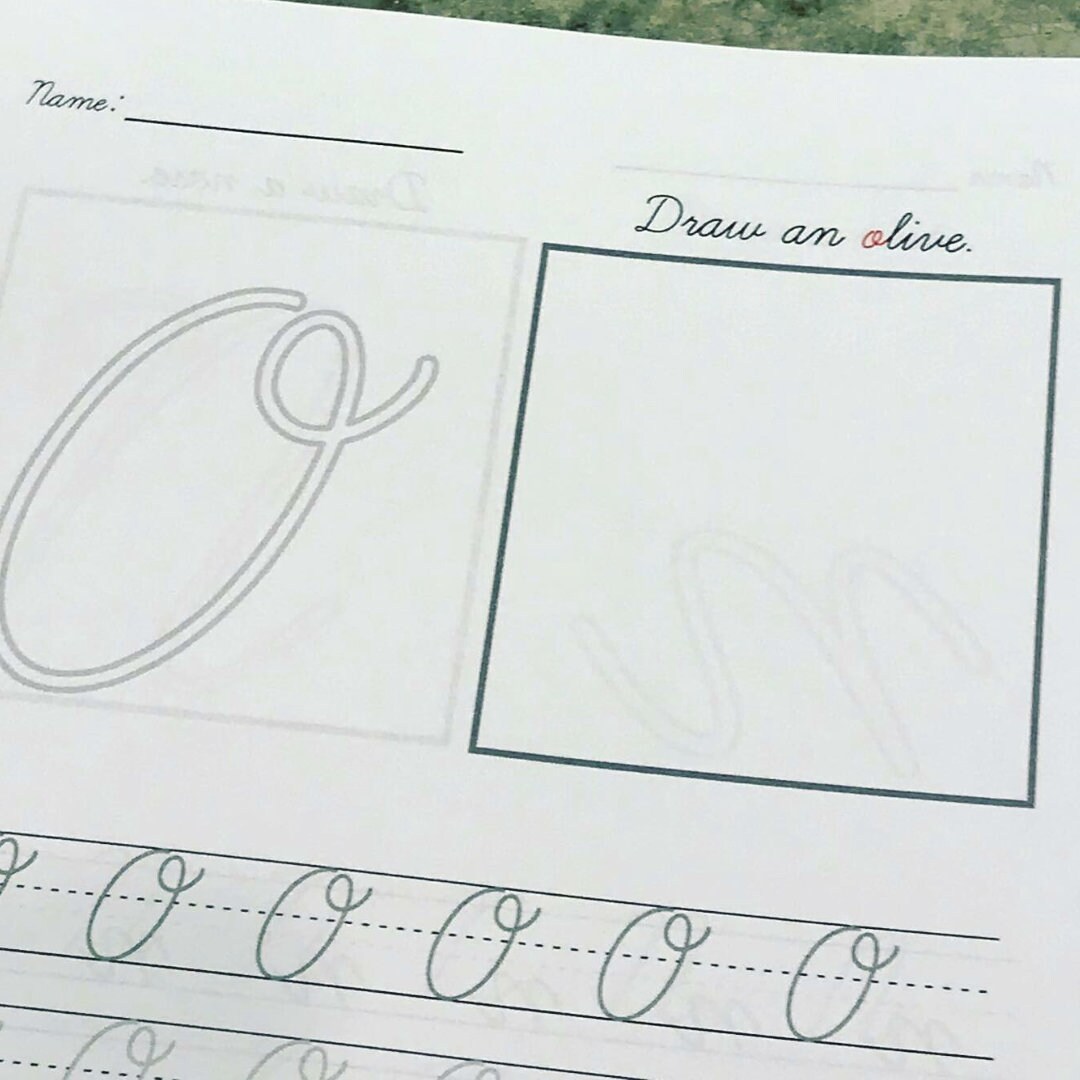 The Alphabet: D'nealin Cursive Handwriting Practice - Etsy
