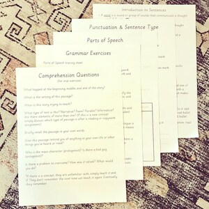 Mcguffey's 2nd Reader Revised Edition: D'nealian Print Copywork - Etsy