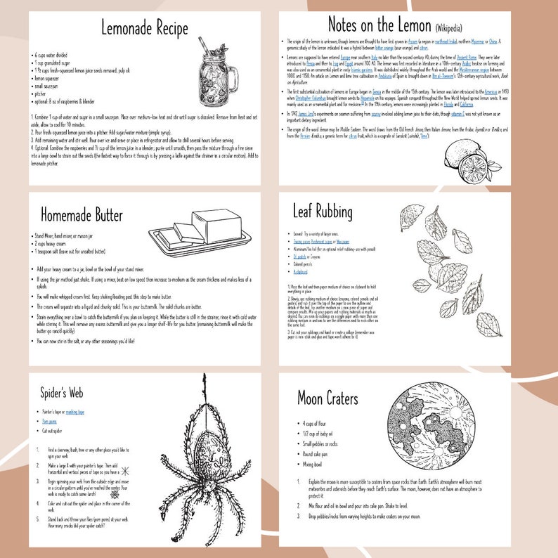 Science Activities: Berenstain Bears Science Compliment - Etsy