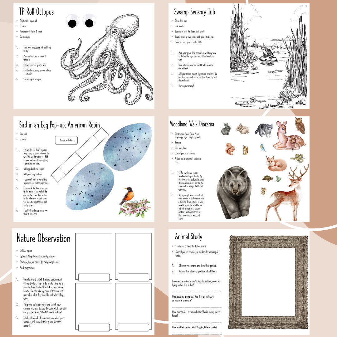 Science Activities: Berenstain Bears Science Compliment - Etsy