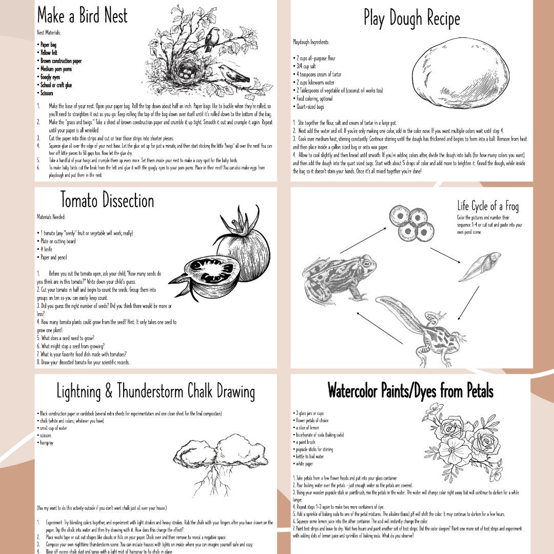 Science Activities: Berenstain Bears Science Compliment - Etsy