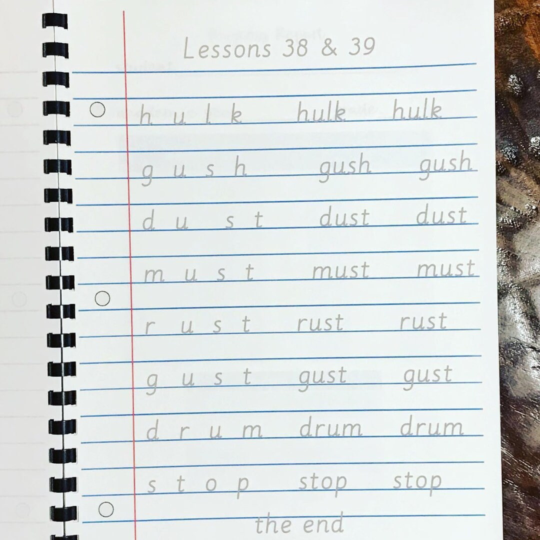 CVC Reading, Spelling & Handwriting: D'nealian Print - Etsy