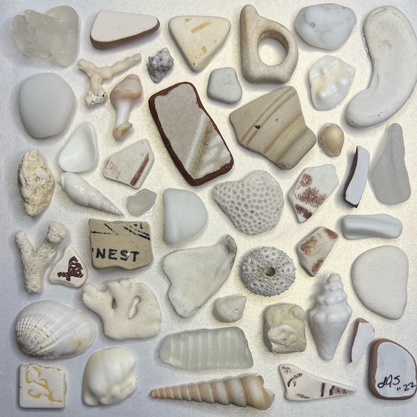 Sea Pottery Art - Etsy