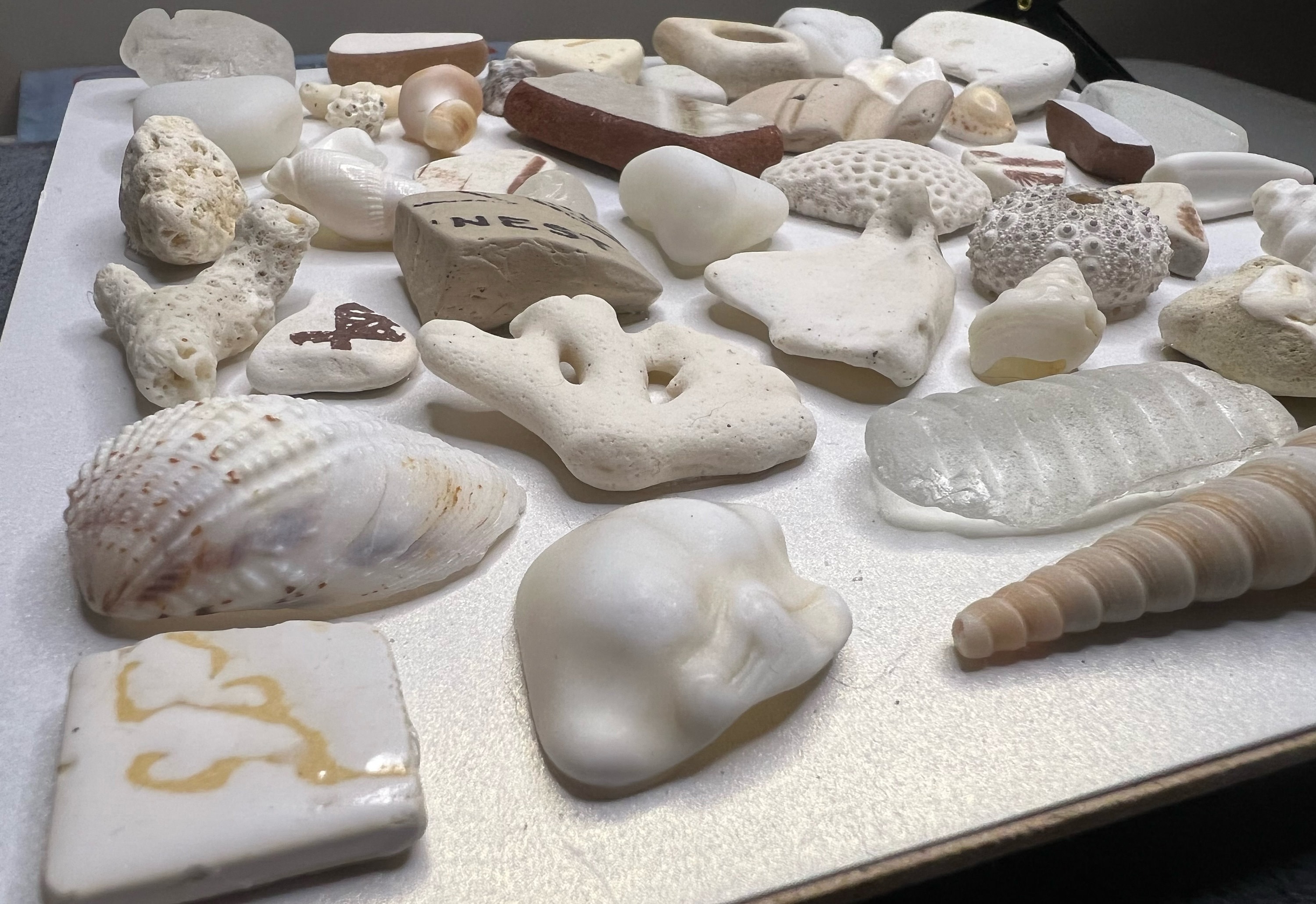 Sea Glass Seashell Sea Pottery Mosaic - Etsy