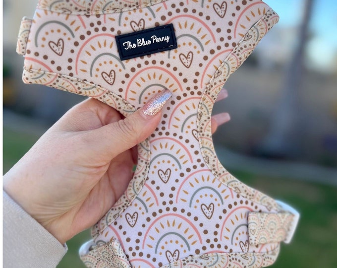 Boho Rainbow Dog Harness Cute Dog Harness & Leash Set Cute Dog Collar Boho Dog Collar XXS to ...