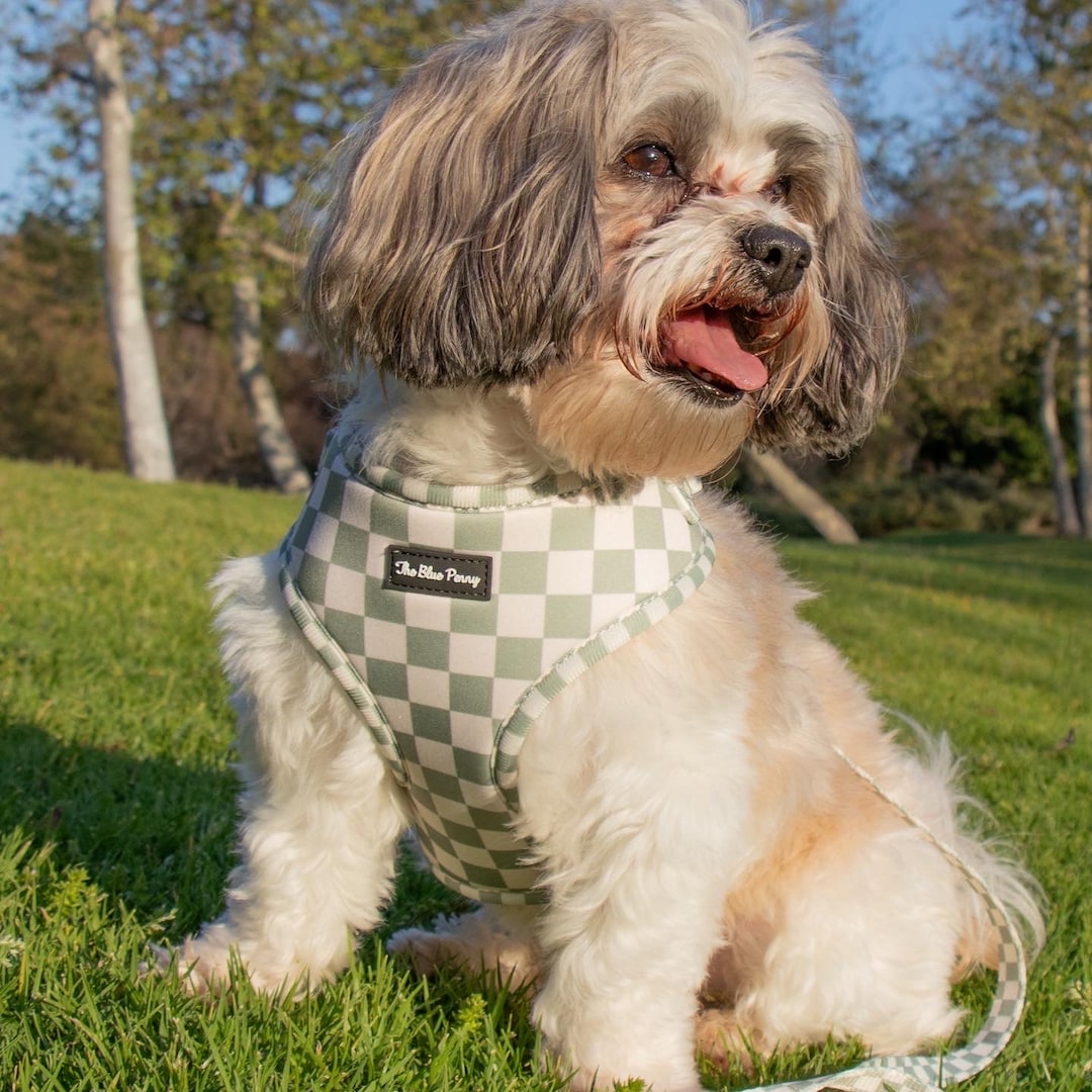 Checkered Dog Harness Sage Green Retro Puppy Harness XS to Large Cute ...
