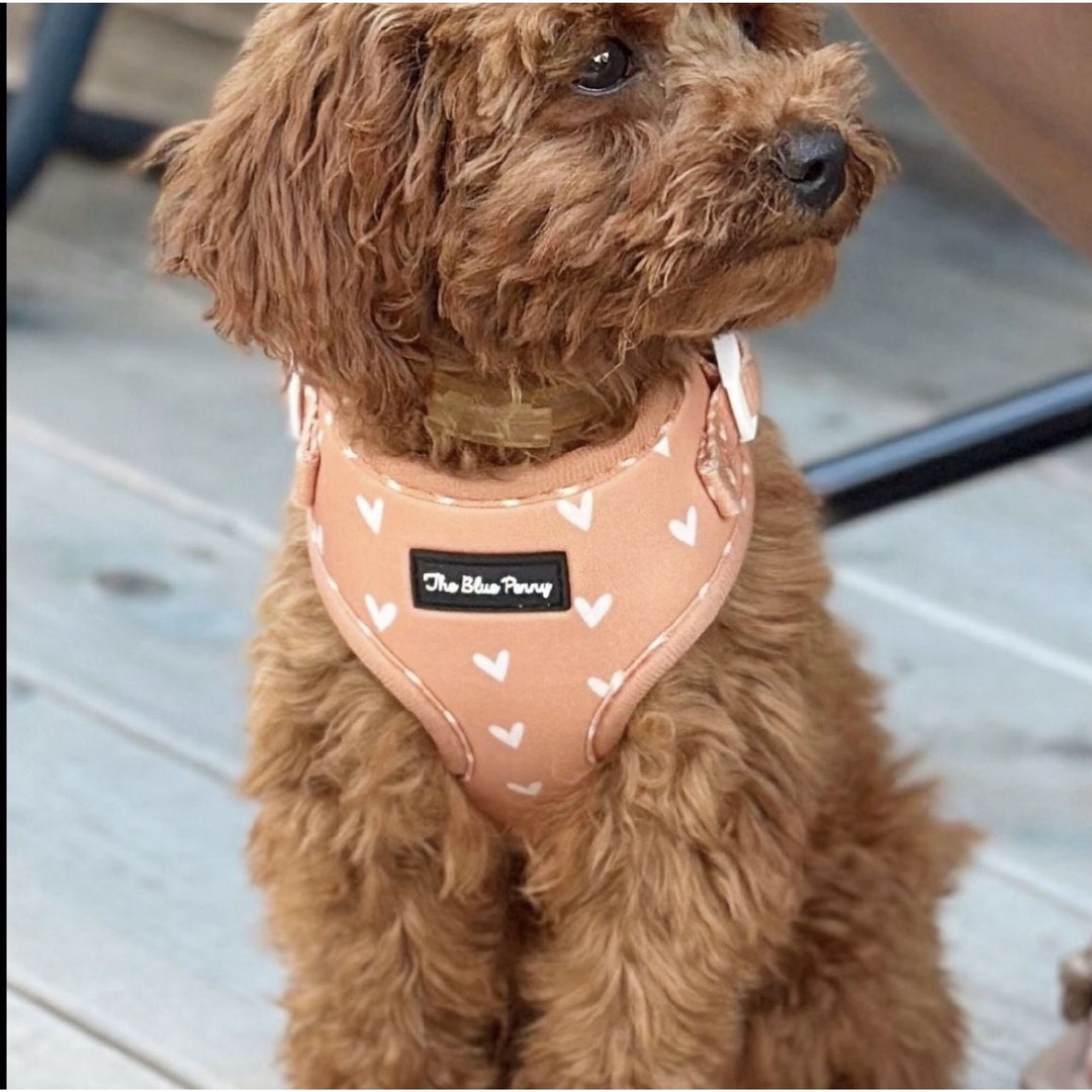 Cute Dog Harness With Heart Print Peach Dog Harness Puppy Harness Small ...