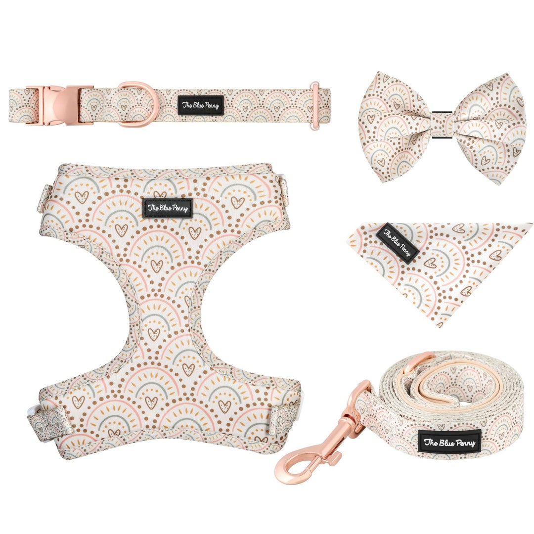 Boho Rainbow Dog Harness Cute Dog Harness & Leash Set Cute Dog - Etsy