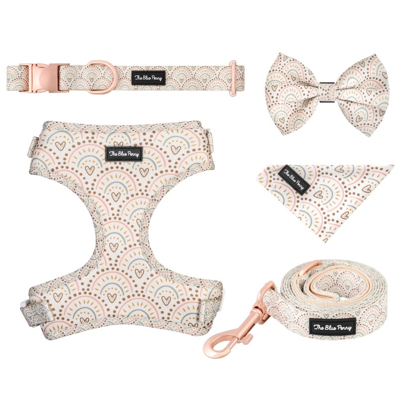 Boho Rainbow Dog Harness Cute Dog Harness & Leash Set Cute Dog - Etsy
