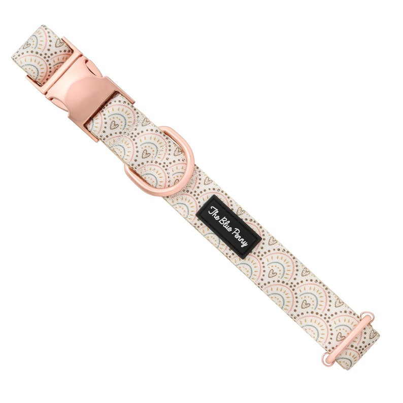 Boho Rainbow Dog Harness Cute Dog Harness & Leash Set Cute Dog - Etsy