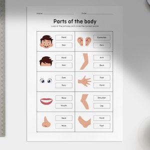 Parts of the Body Worksheet - Etsy