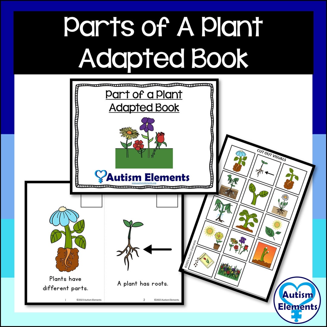 Parts of A Plant- Adapted Book- Science- Plants- Flowers- Autism - Etsy