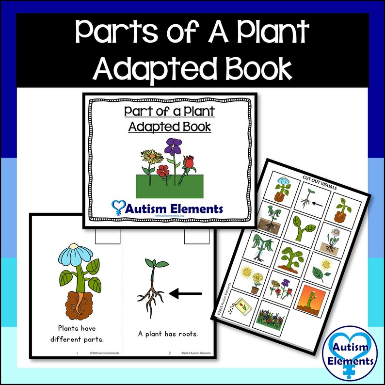 Parts of A Plant- Adapted Book- Science- Plants- Flowers- Autism - Etsy