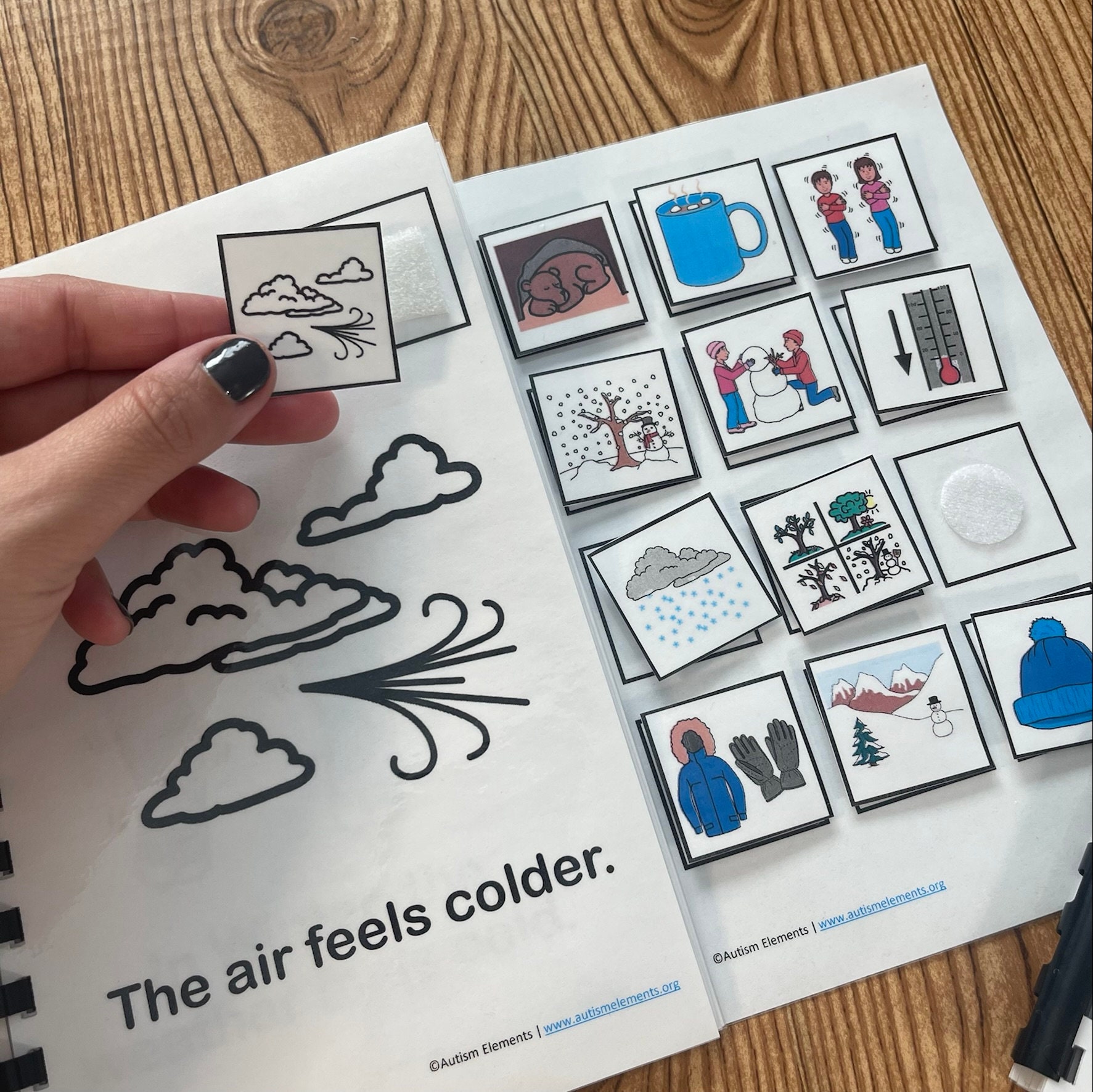 Learn About Winter Adapted Book (2 Versions) - Winter- Seasons- Autism ...