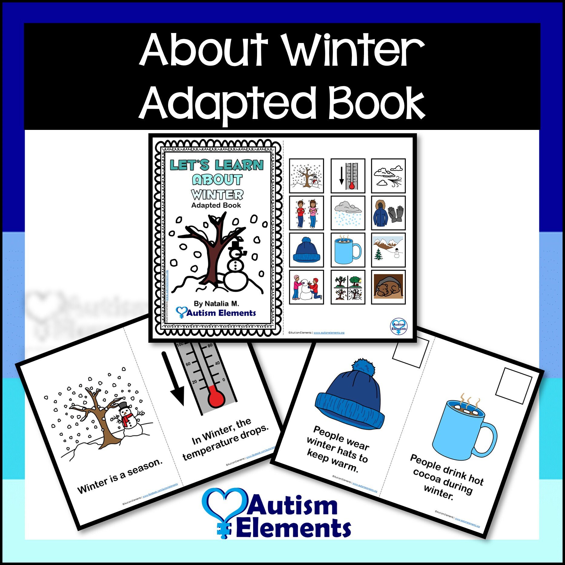 Learn About Winter Adapted Book (2 Versions) - Winter- Seasons- Autism ...