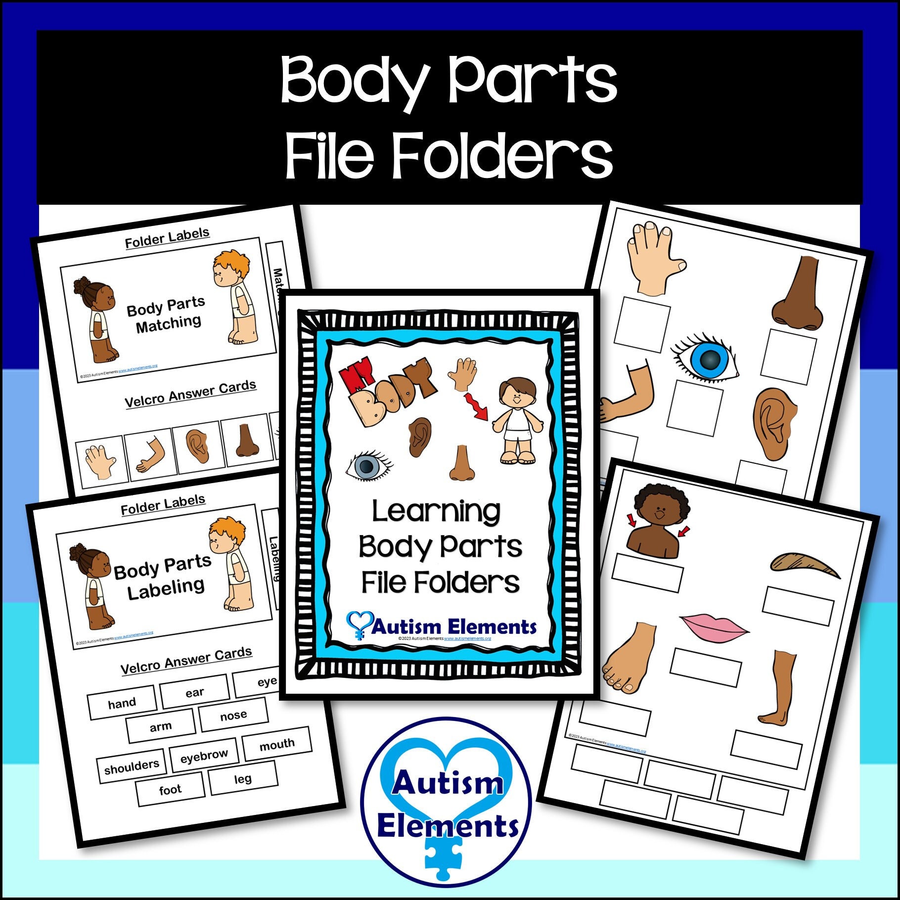 Body Parts File Folders- About Me- Science- Body- Autism- SPED - Etsy