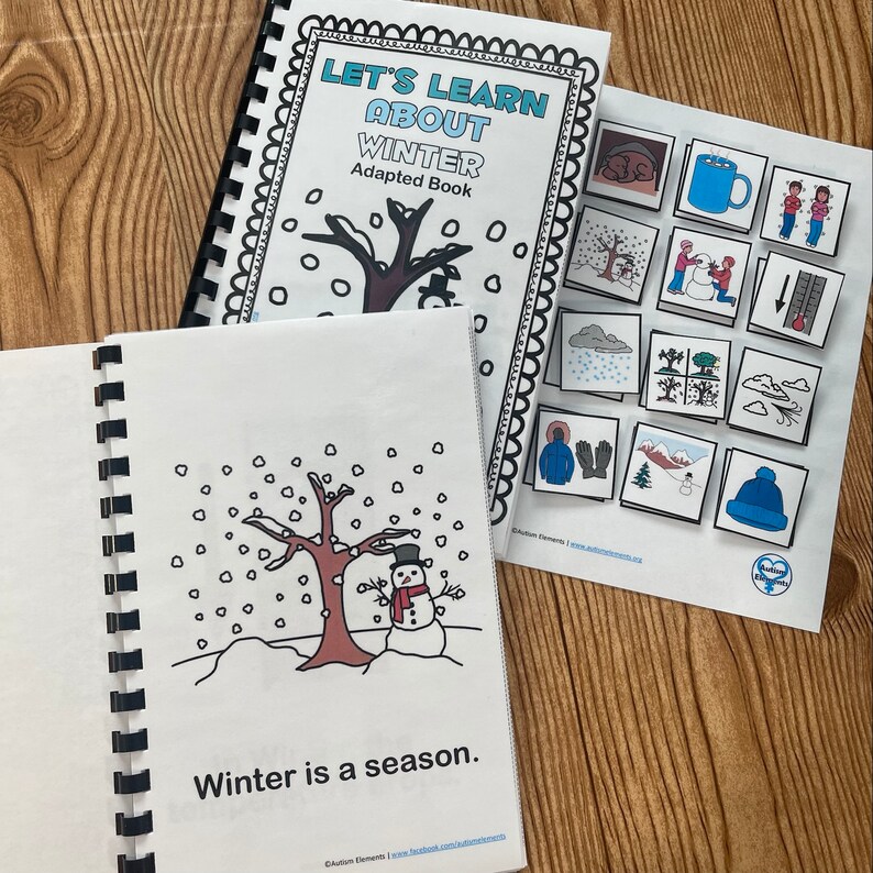 Learn About Winter Adapted Book (2 Versions) - Winter- Seasons- Autism ...
