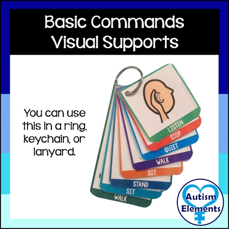 Basic Commands Visual Supports PHYSICAL SET Rules Behavior Autism SPED ...