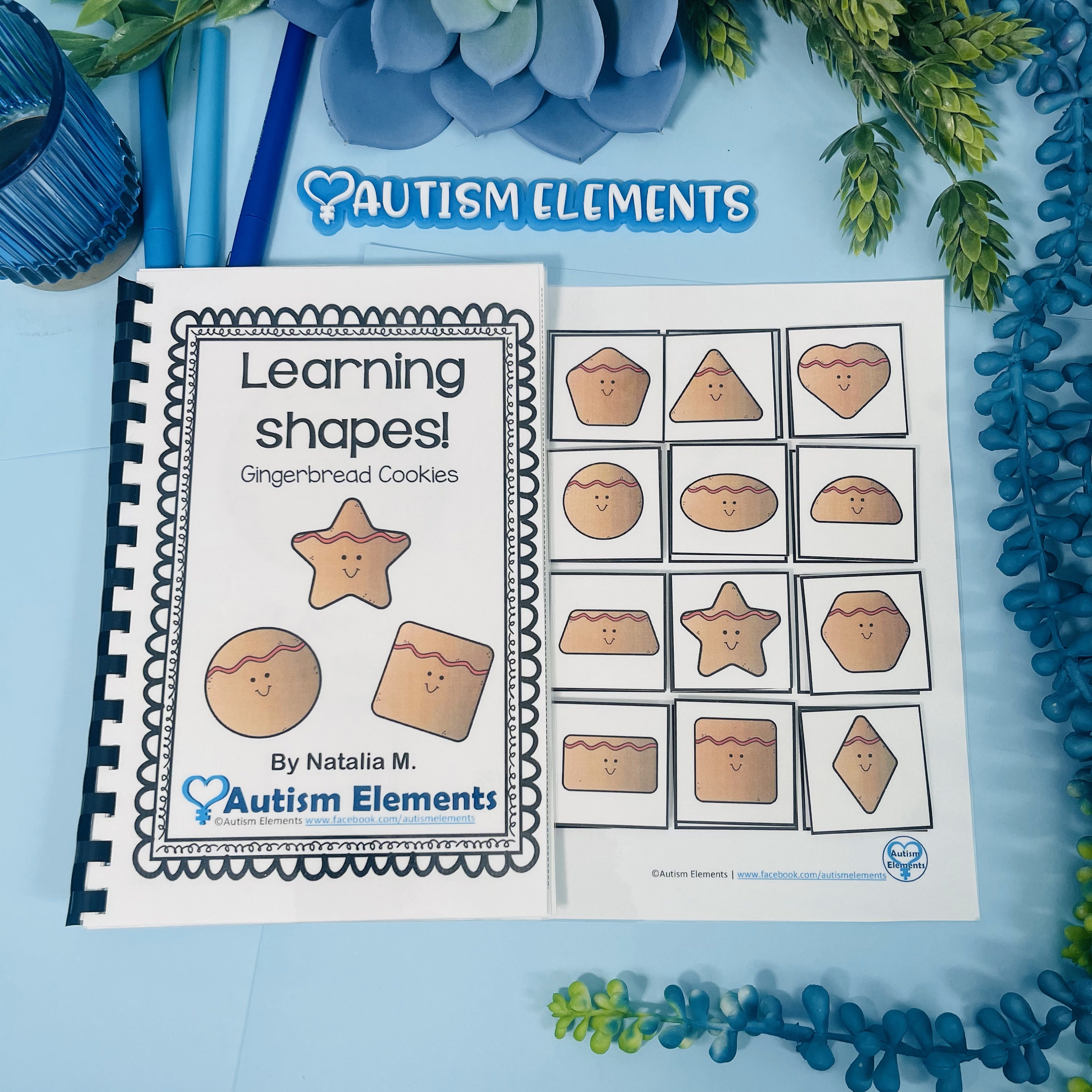Learning Gingerbread Shapes Interactive Adapted Book - Winter/christmas ...