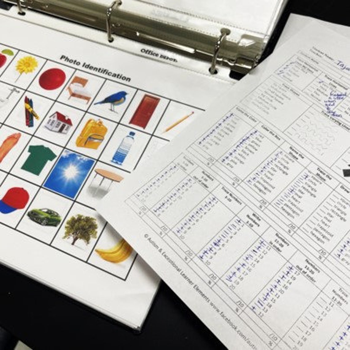 Basic Skills Inventory Assessment- SPED & Autism Resources - Etsy