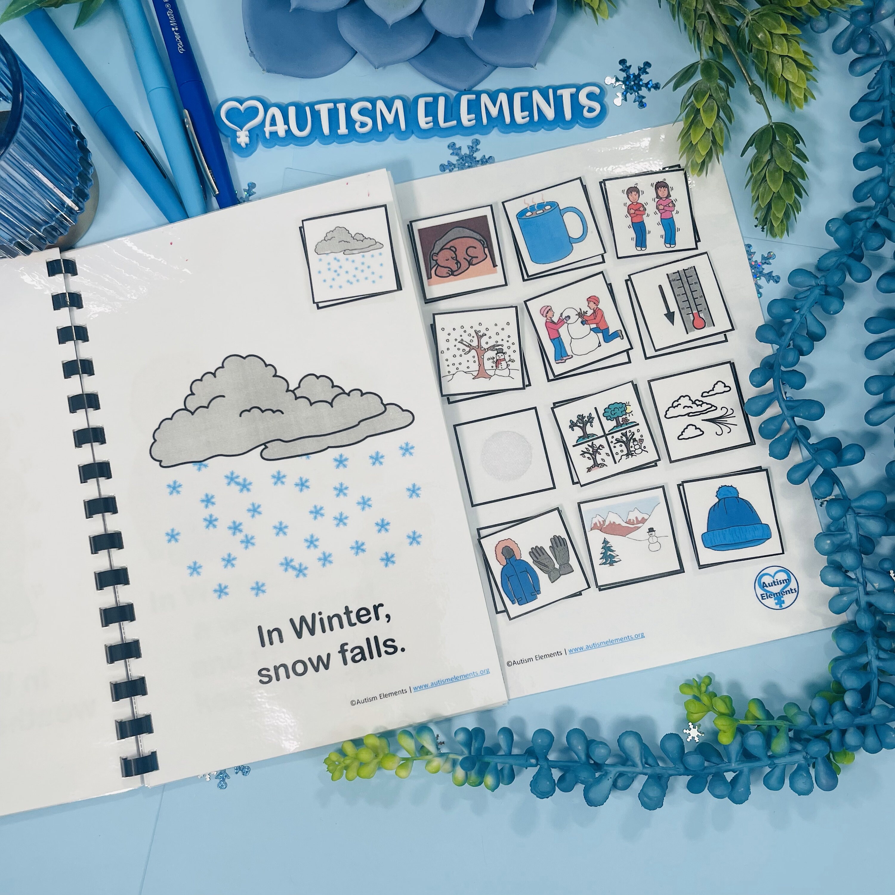 Learn About Winter Adapted Book (2 Versions) - Winter- Seasons- Autism ...