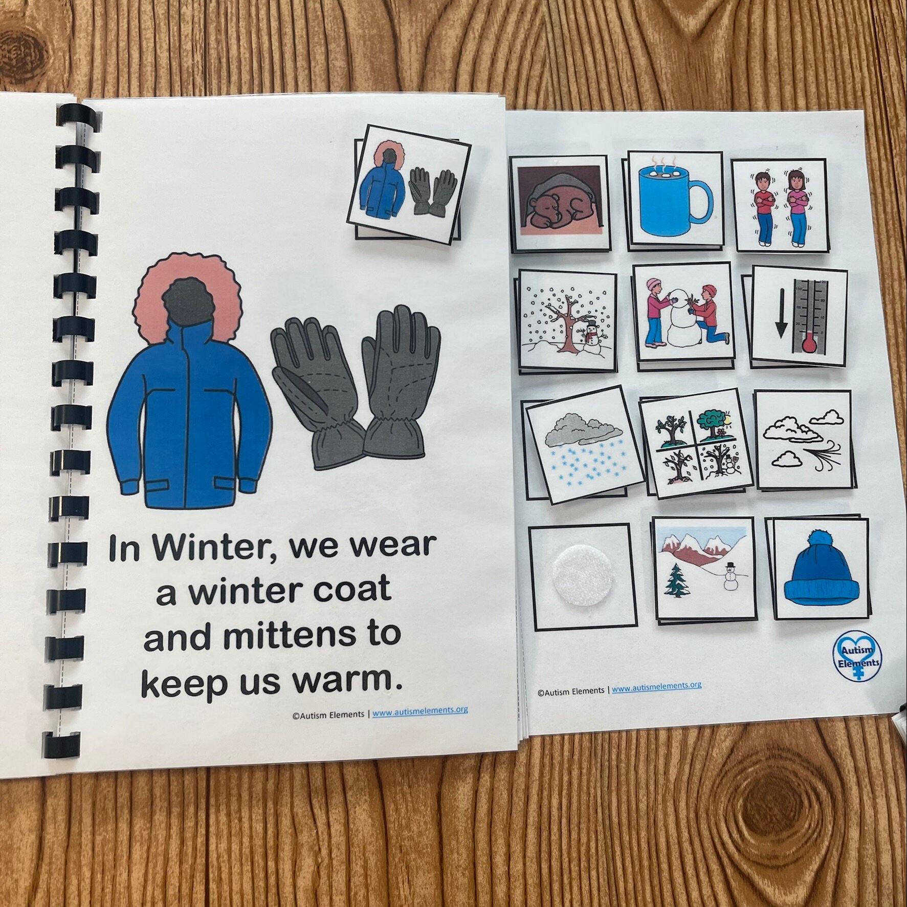 Learn About Winter Adapted Book (2 Versions) - Winter- Seasons- Autism ...