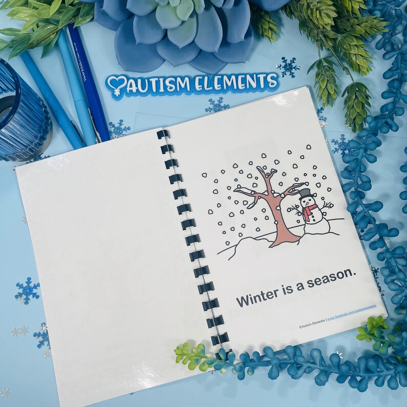 Learn About Winter Adapted Book (2 Versions) - Winter- Seasons- Autism ...