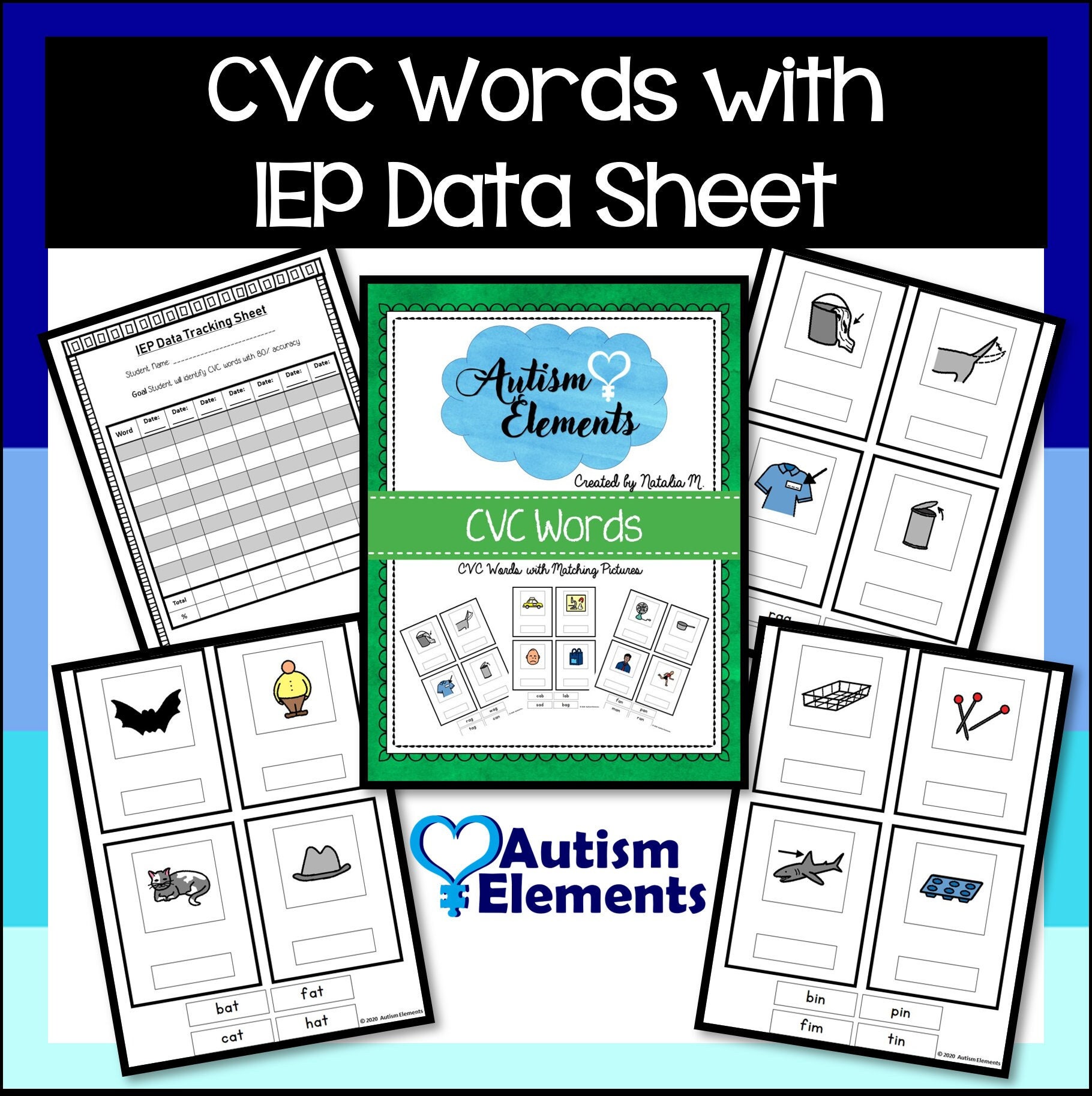 CVC Words Matching Task Cards-phonics- Autism & SPED Resources - Etsy