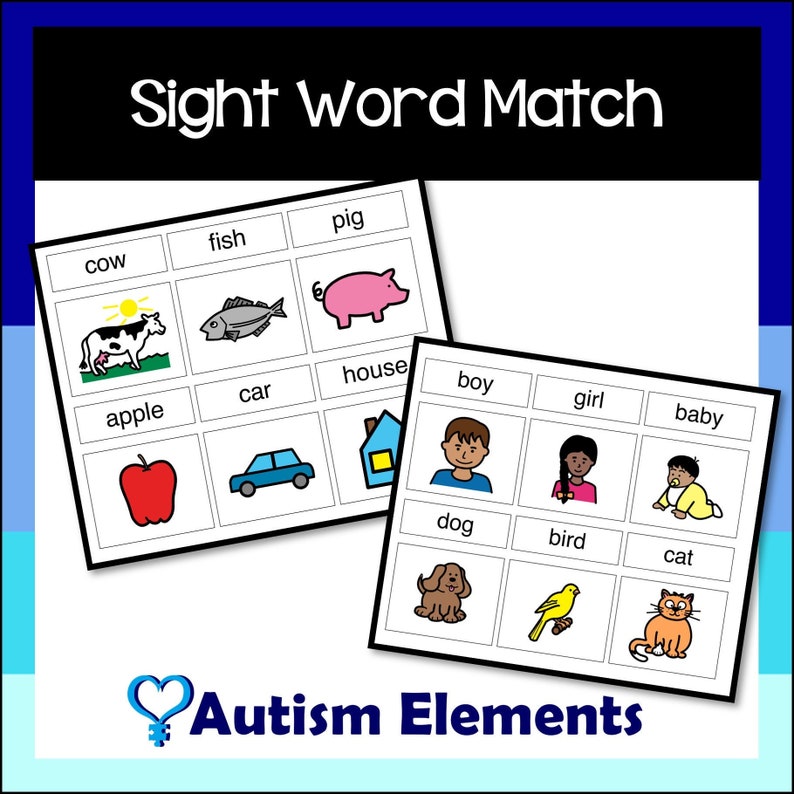 Dolch Sight Words Matching Phonics Autism & SPED Resources - Etsy