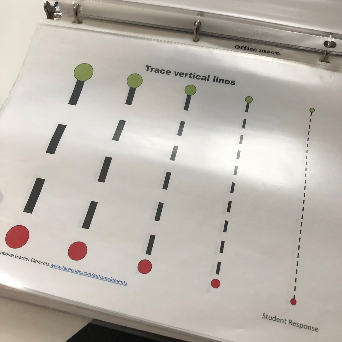 Basic Skills Inventory Assessment- SPED & Autism Resources - Etsy