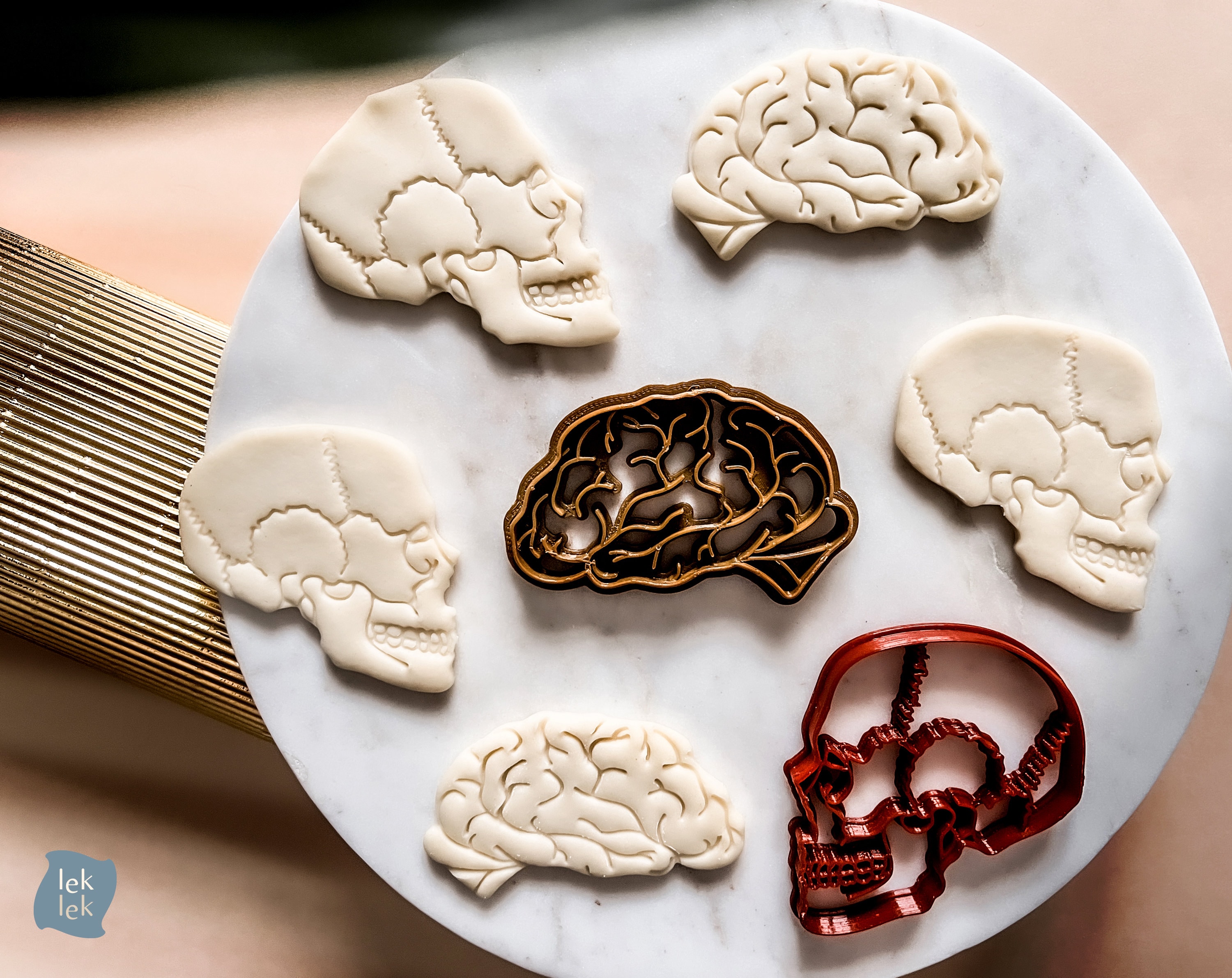 Brain Cookie Cutter Anatomical Anatomy Cookie Cutter Pastry - Etsy